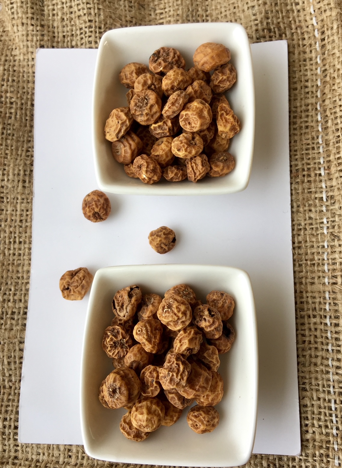 How to safely use prebiotic fiber – Do It Yourself Health