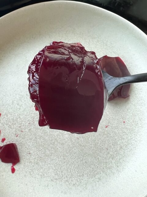 Leaky gut jello – Do It Yourself Health